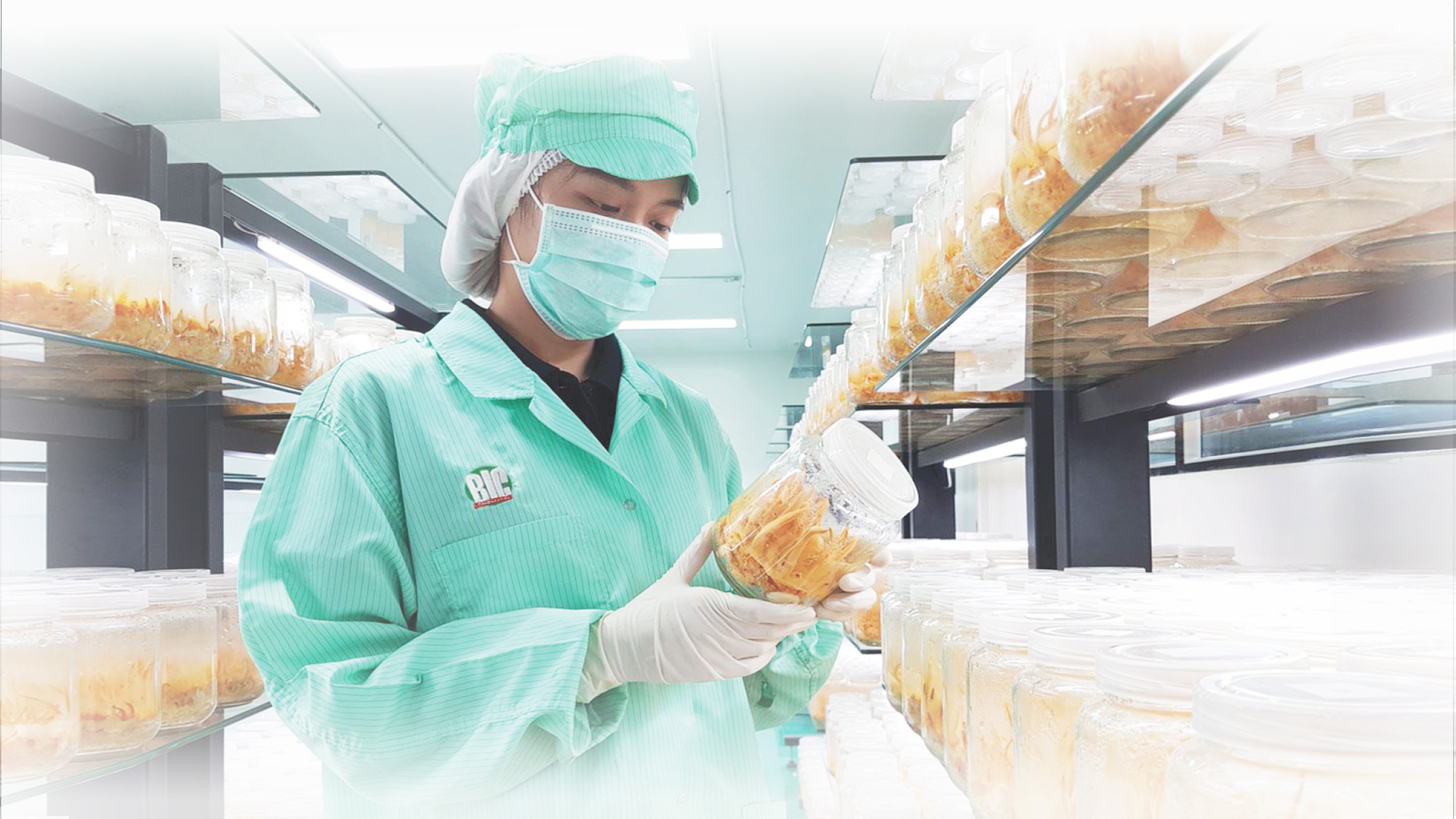 Human health care products - BIC CHEMICAL CO., LTD.